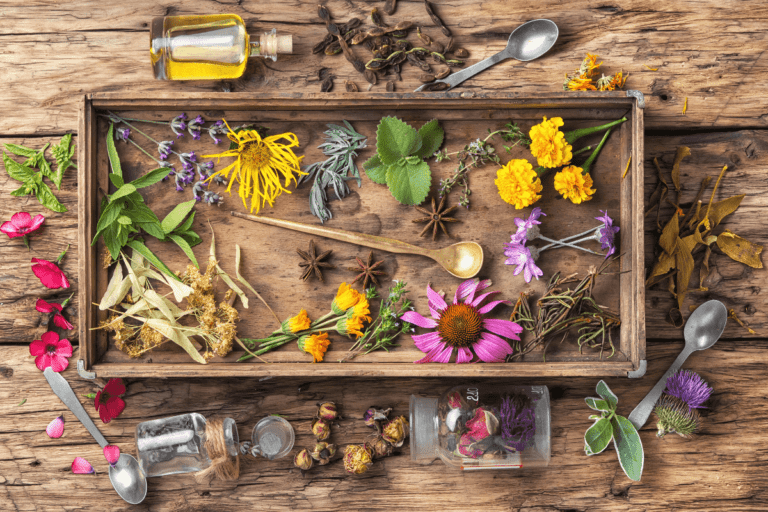 Yoni Steam in San Diego: Benefits + Tips for Newbies